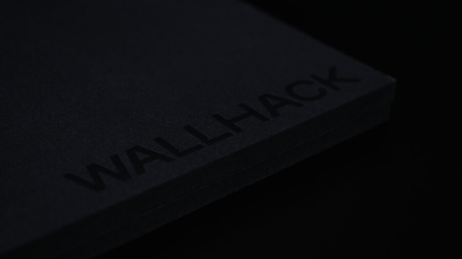 Wallhack SP-004 Twins – DPQP