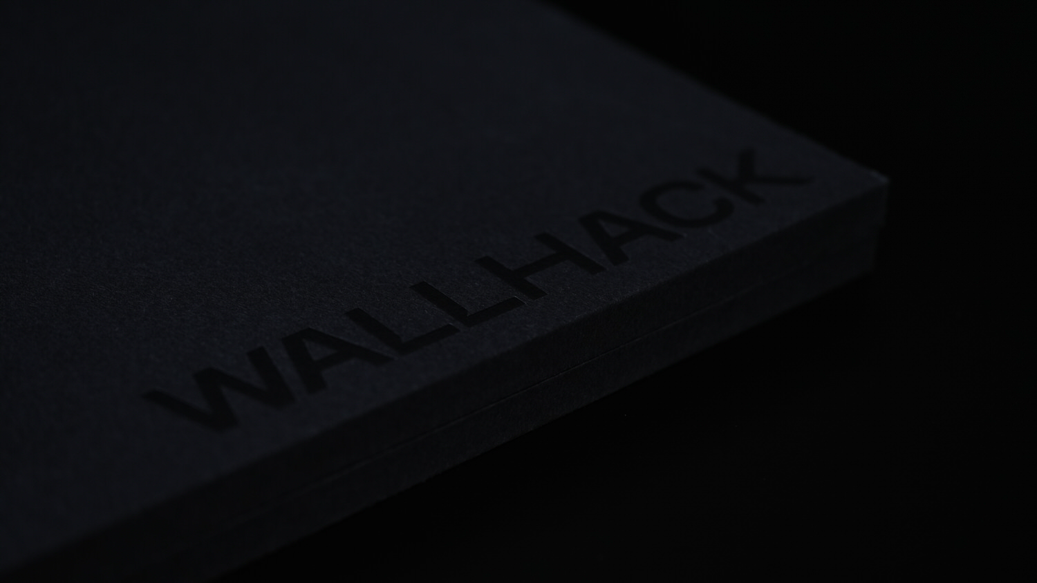 Wallhack SP-004 Twins – DPQP