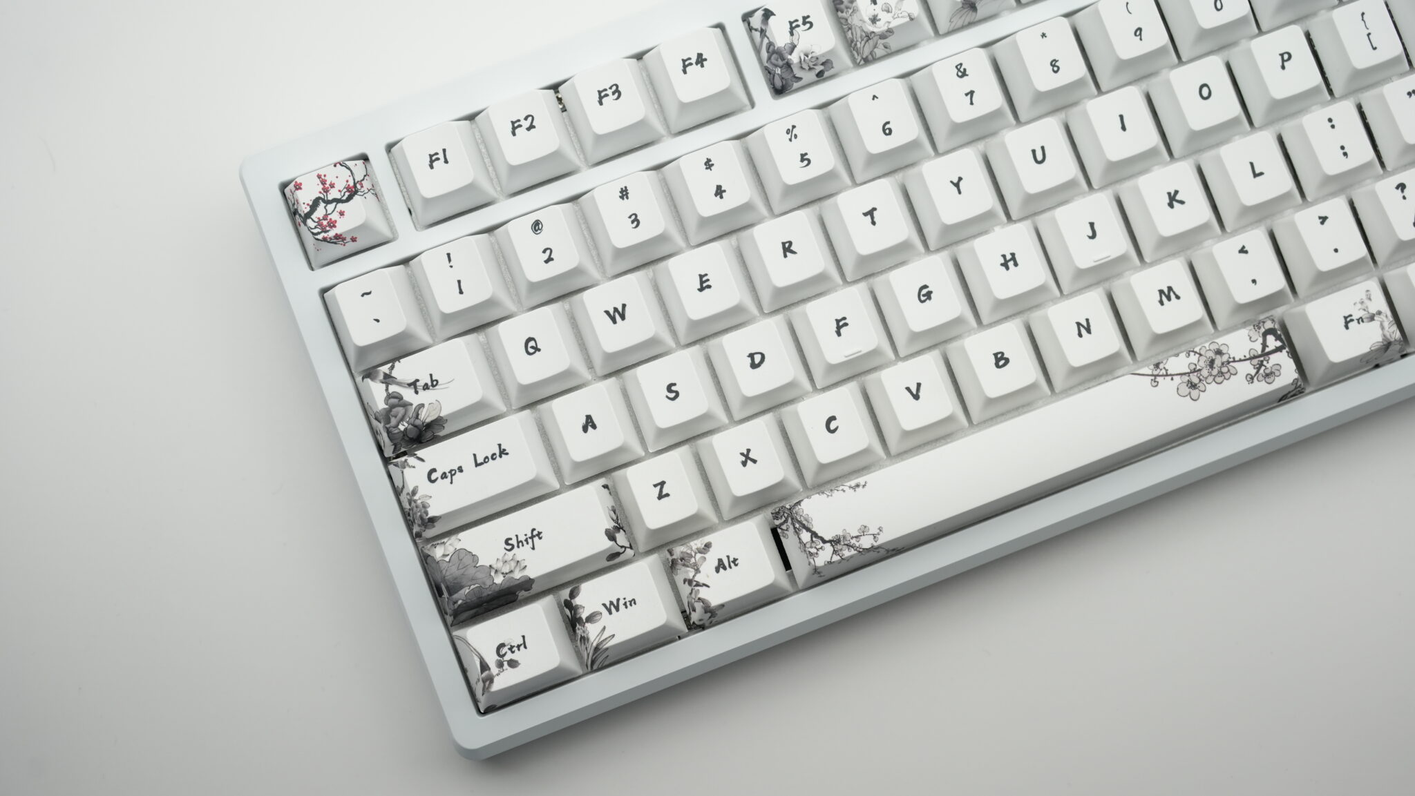 Everglide SU75 – DPQP