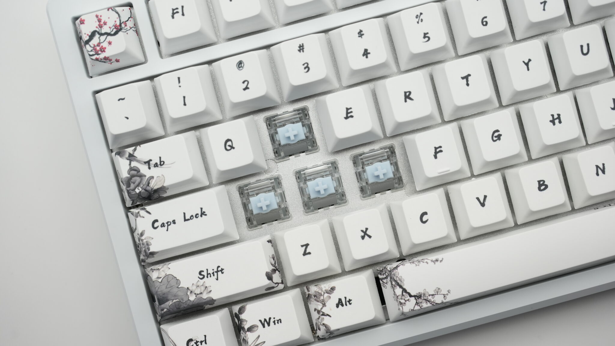 Everglide SU75 – DPQP