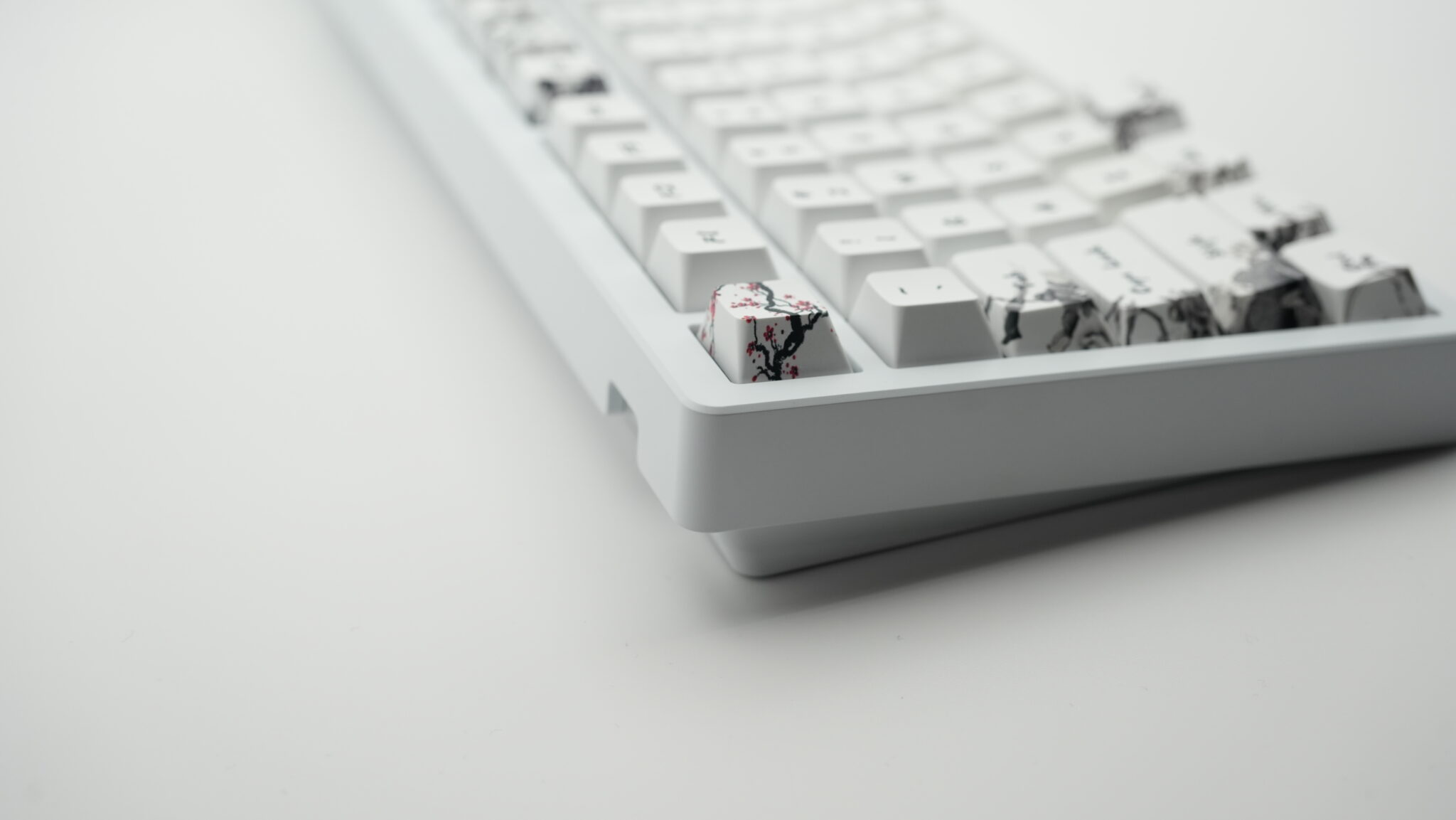 Everglide SU75 – DPQP